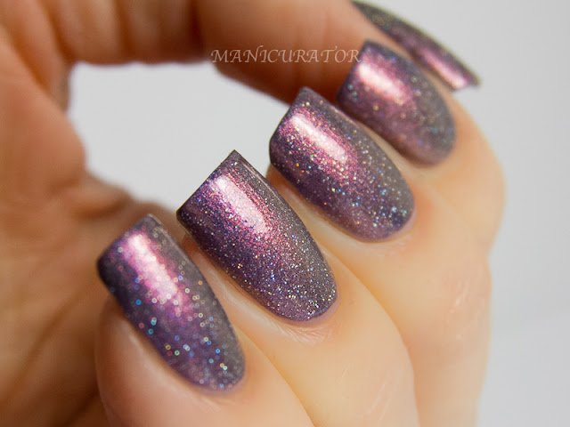 Dandy Nails Winter Collection and more! Swatches and Reviews