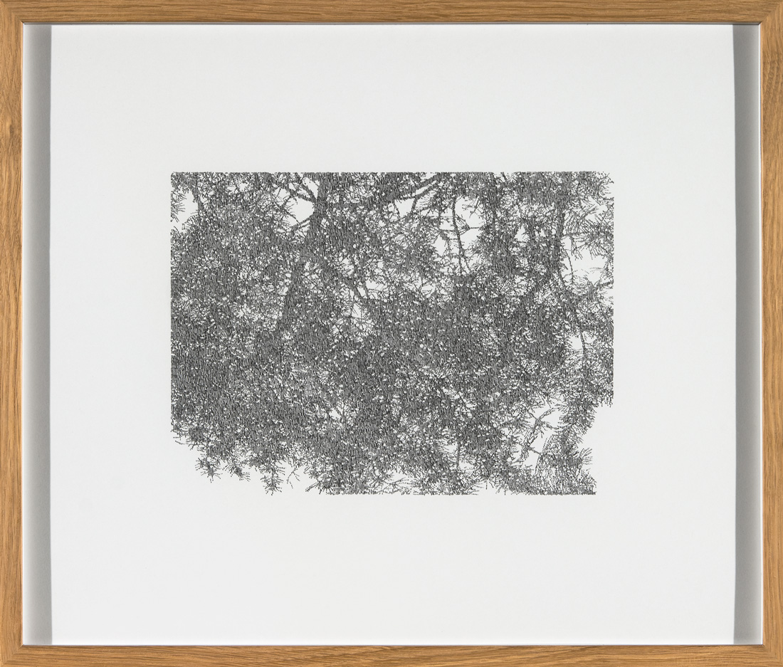 Richard Müller: Dessins récents