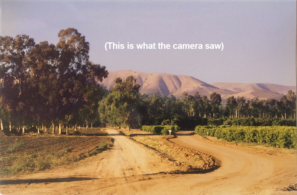 TOM BROWN FINE ART: CALIFORNIA IMPRESSIONIST PLEIN AIR by TOM BROWN