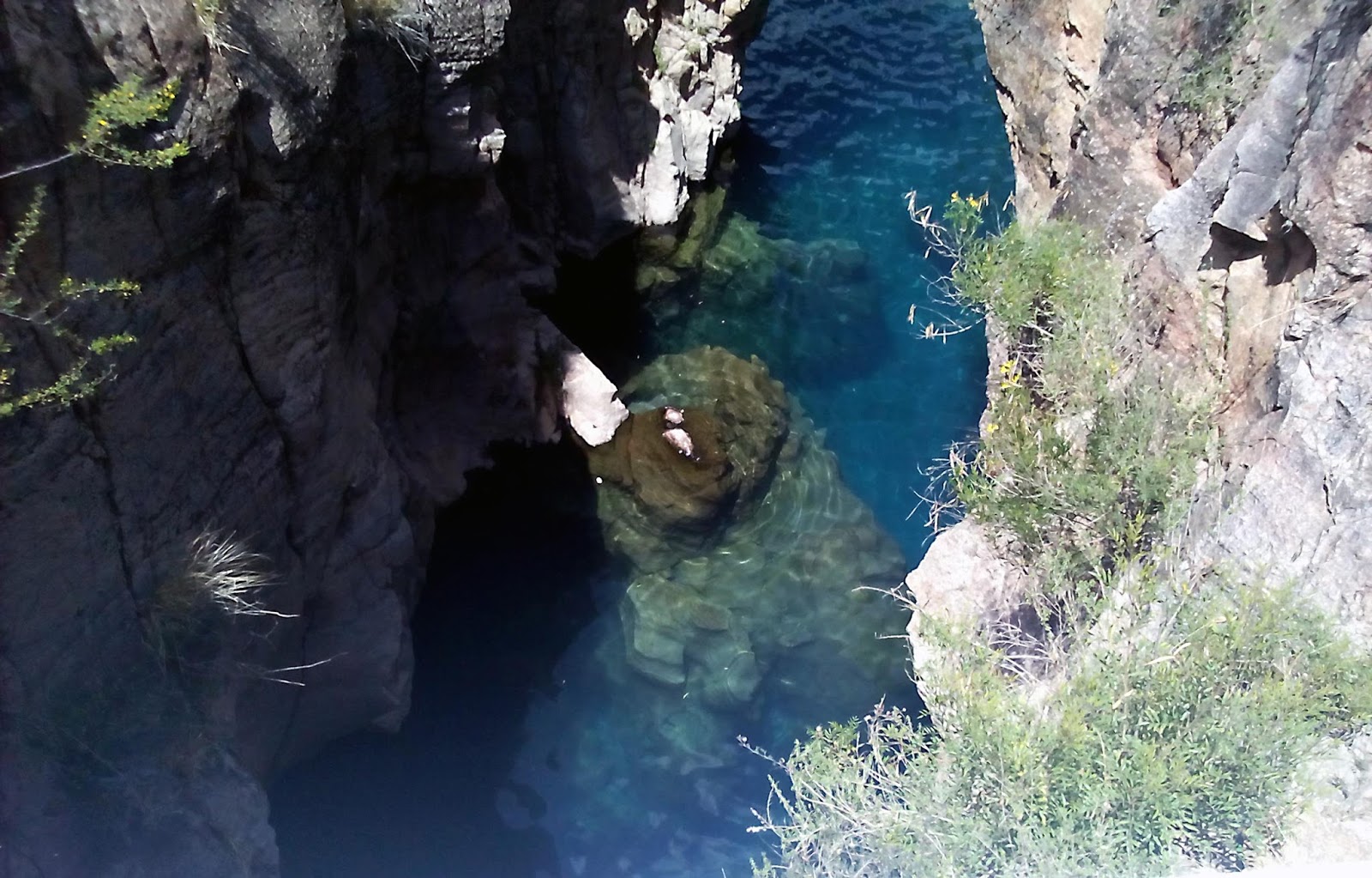 Daniel Davila Lopez: La Concha Durango