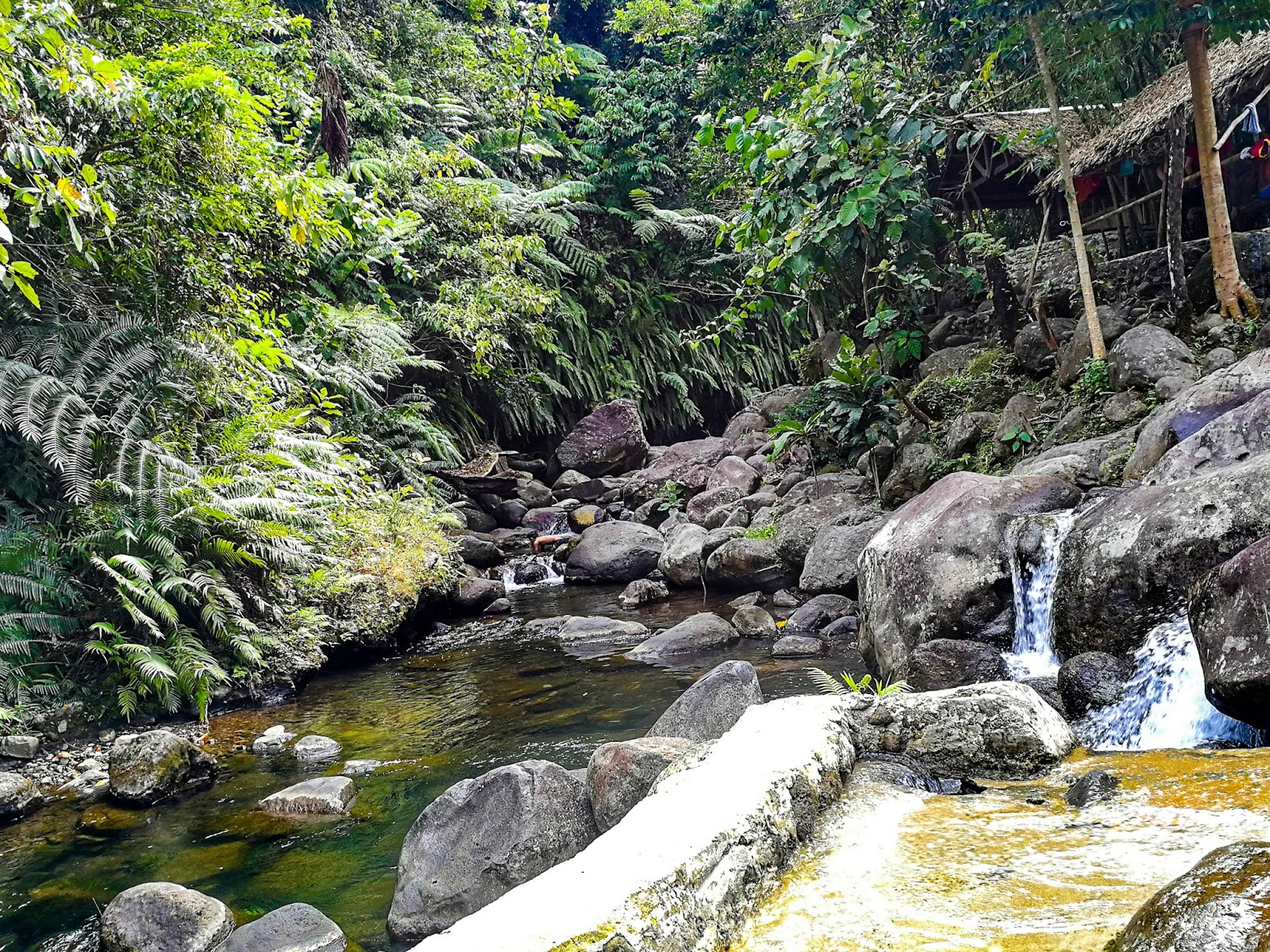 Little Pinay Explorer: Cold Spring for a Warm Weather at Pines Farm ...