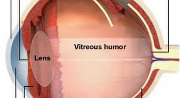 Problems and diseases of the human eye