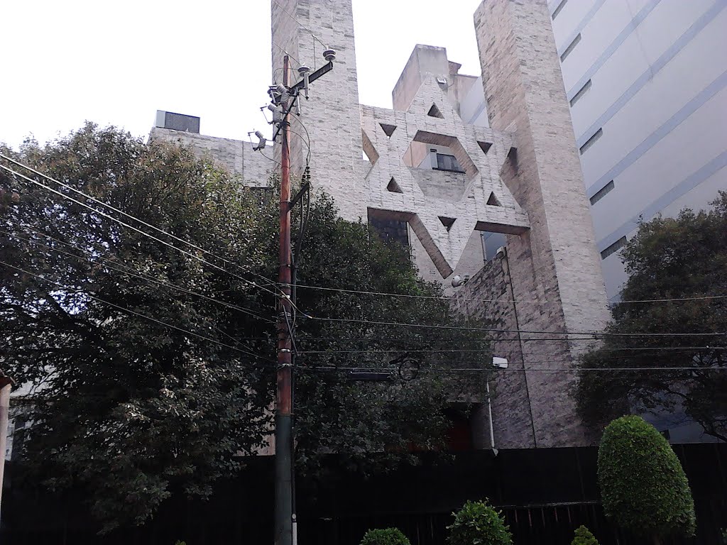 TSP: Josh Barkan Starts with Oddities