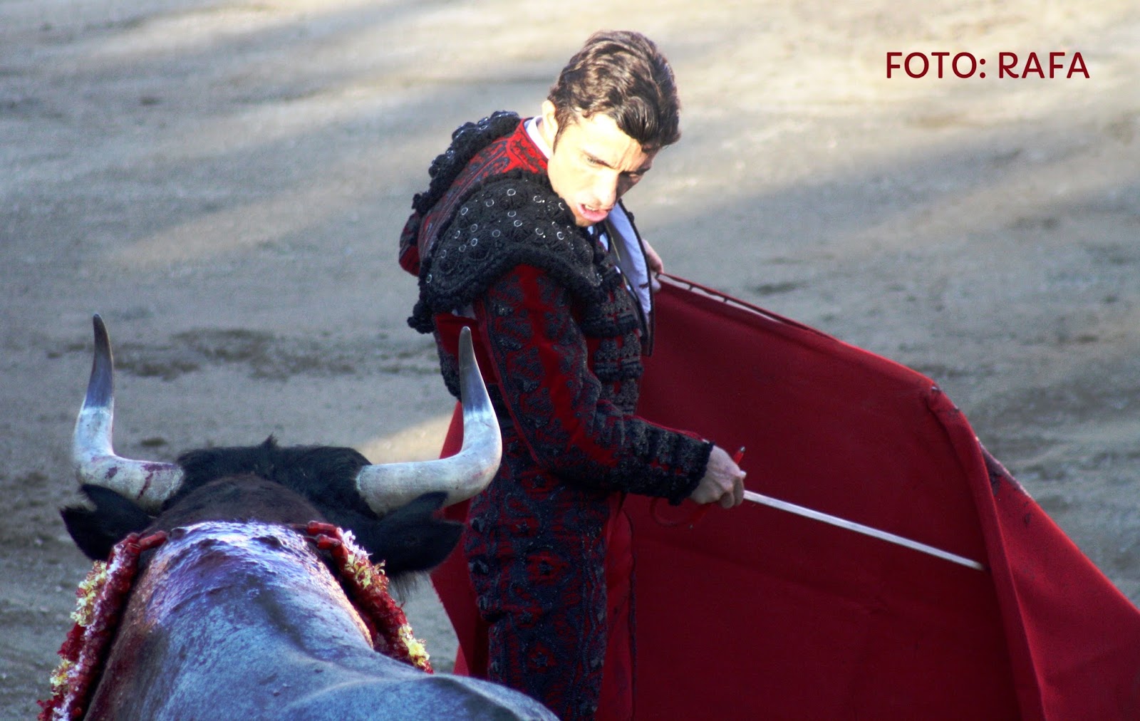 Toreo en Red Hondo: CÉRET DE TOROS, 2017 (4): ESCOLAR