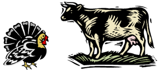 Mathwire: Turkeys and Cows