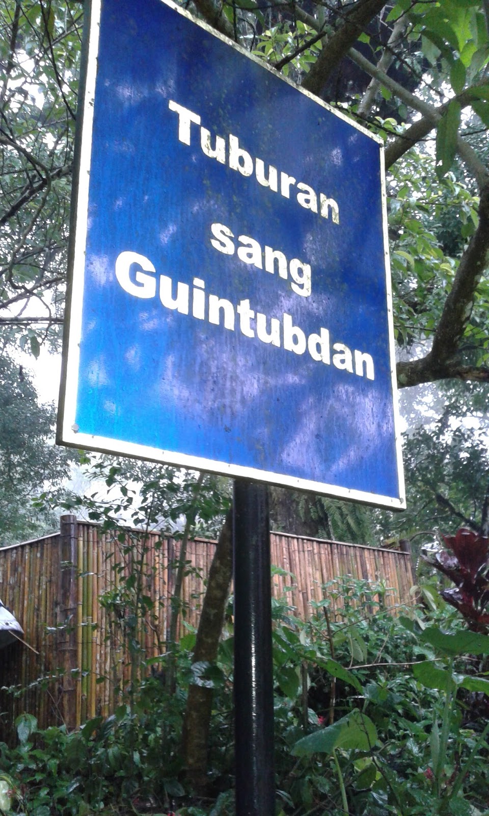 Foot and Fire: Tuburan sa Guintubdan (Spring water in Guintubdan)