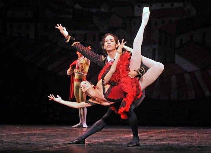 Ballet Cristina Faleroni: SERIE BALLET