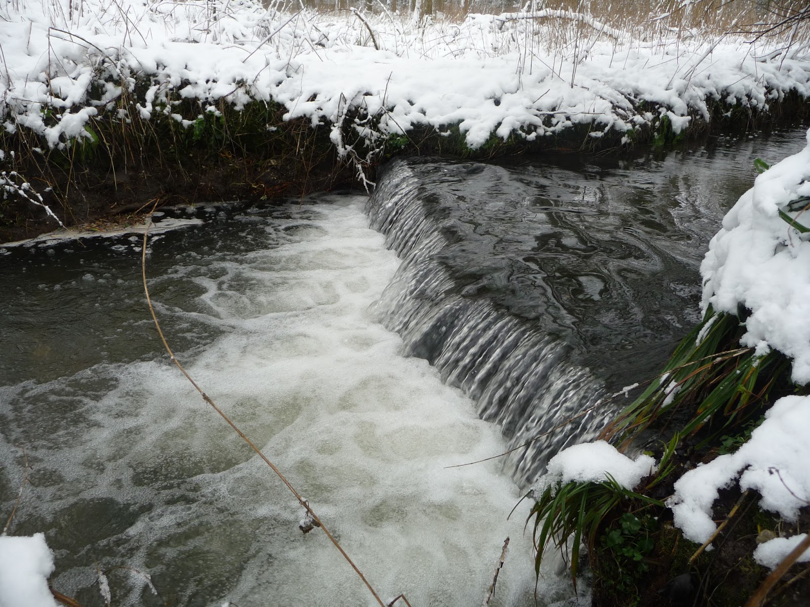 Smallbrook meadows nature reserve in the snow | Touched by nature
