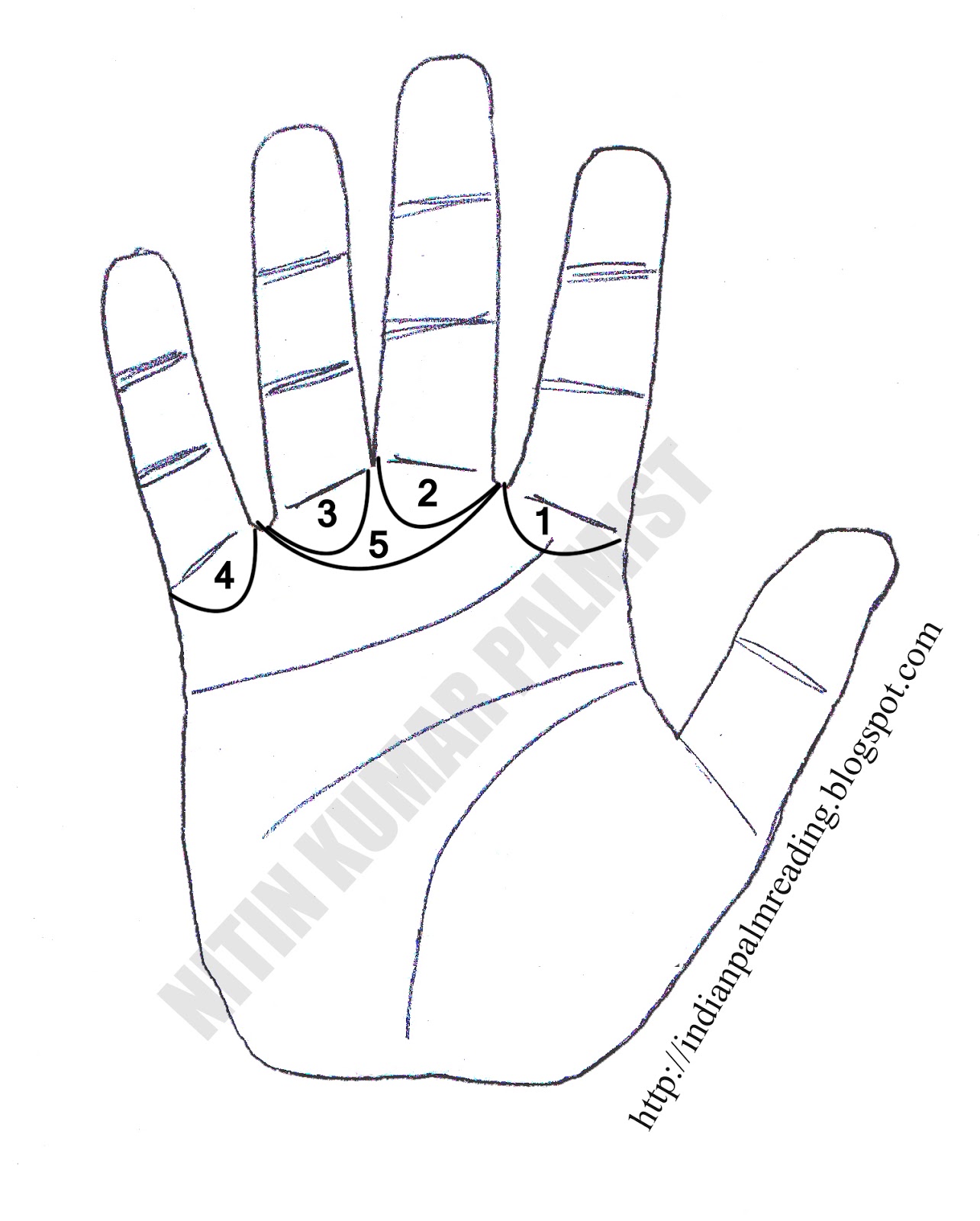 हथेली में पांच मुद्रिका (गुरु, शुक्र, सूर्य, बुध और शनि) | Guru, Budh ...