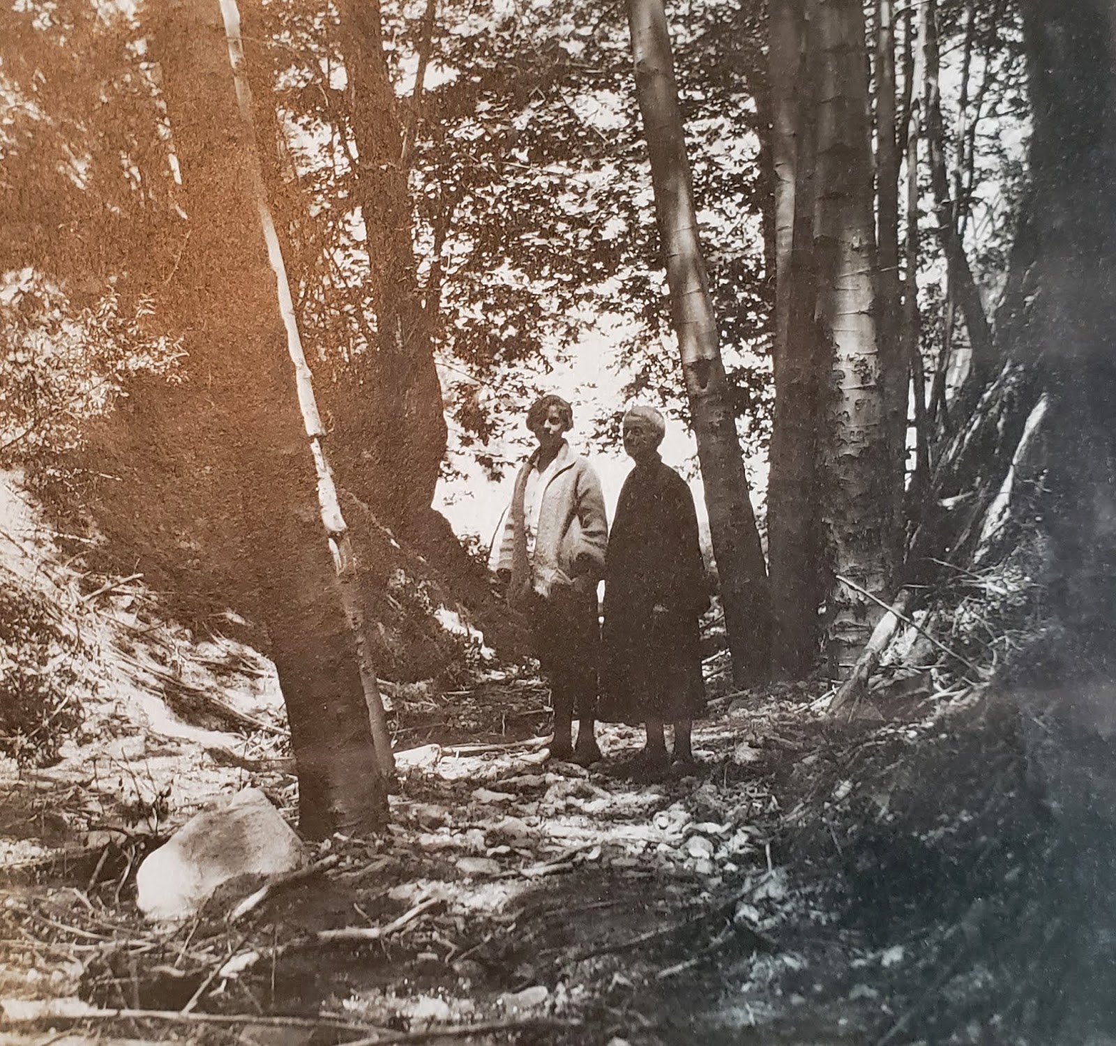 Ordinary Ancestors: Rayson Brown, 1920s Nature Photographer