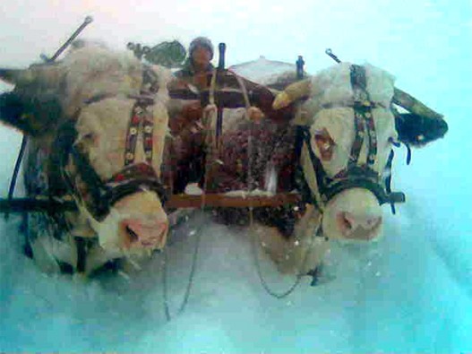 GRAĐANSKI KRUG: February 2012
