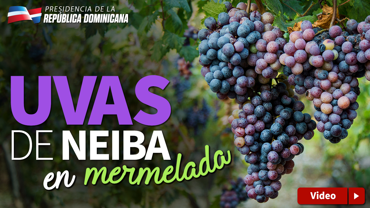 VIDEO: Uvas de Neiba en mermelada - Noticias Bonao 809