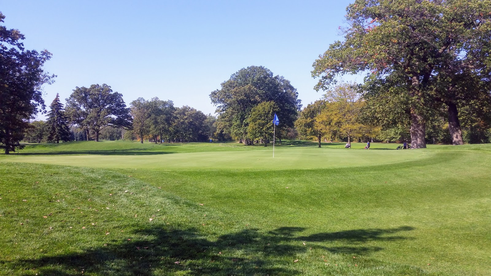 Wilmette Golf Club Grounds and Greens : 2017