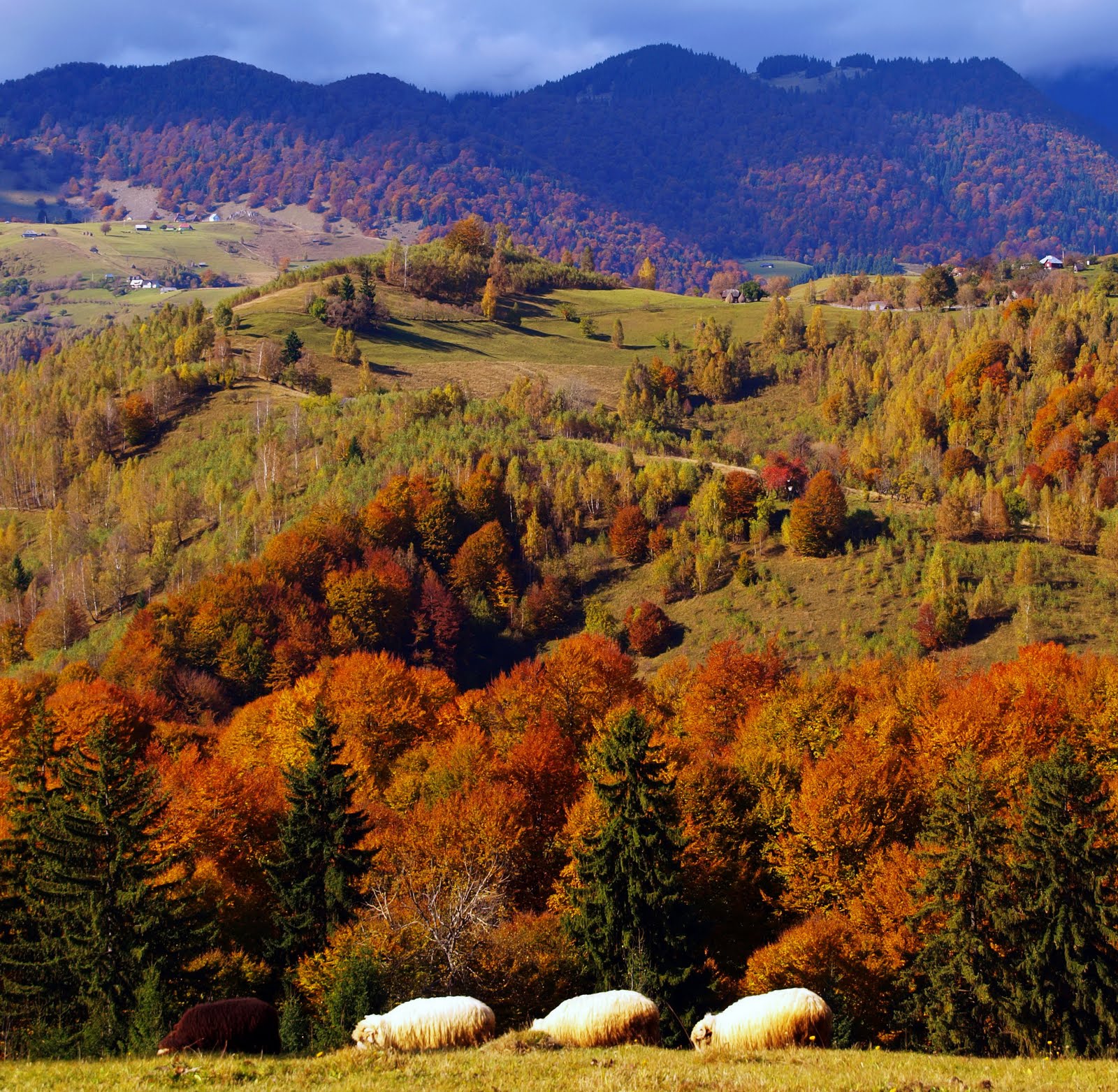 Explore Romanian Landscapes: Autumn Landscapes in Romania