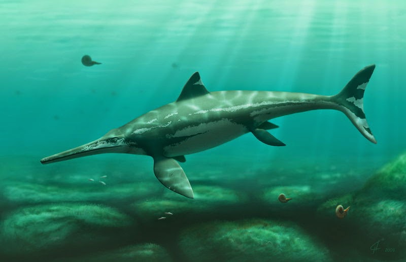 Variety of Life: Thunnosauria