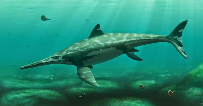 Variety of Life: Thunnosauria