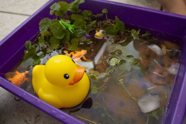 Pond Sensory Bin - Life with Moore Babies
