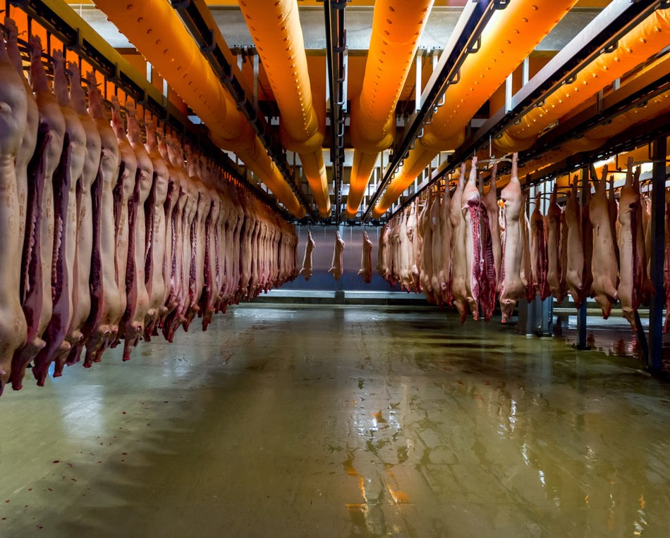 Reluctant Chauffeur: Interesting links on what's for dinner. Learn you ...