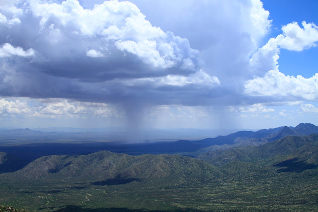 Sonoran Connection: Anatomy of Two Arizona Storms