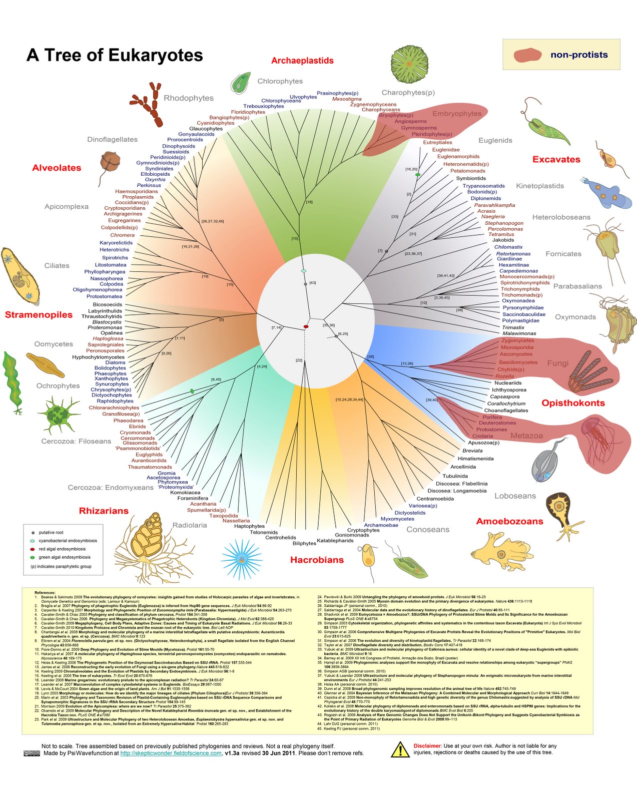Cell | Prokaryotic and Eukaryotic Cells Explained with Diagram : r/biology