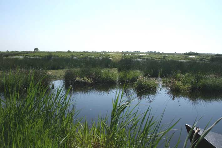 Adventure Cruising UK: National Park of Grande Briere, Brittany