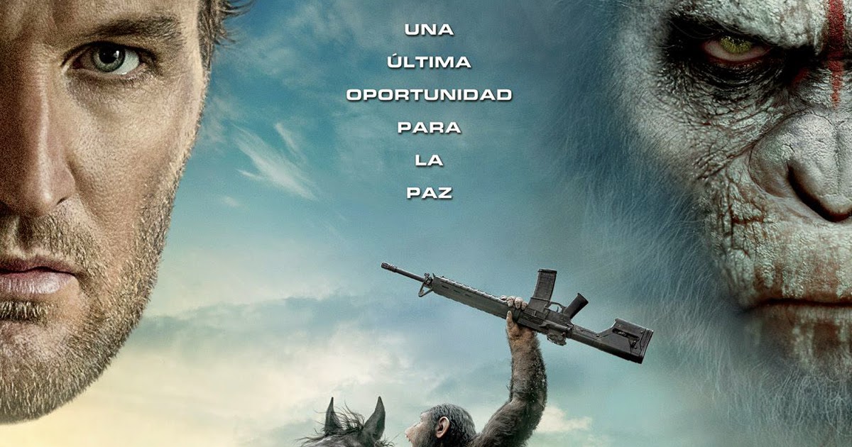 FILM DREAMS: PREMIOS SATELLITE AWARDS 2015