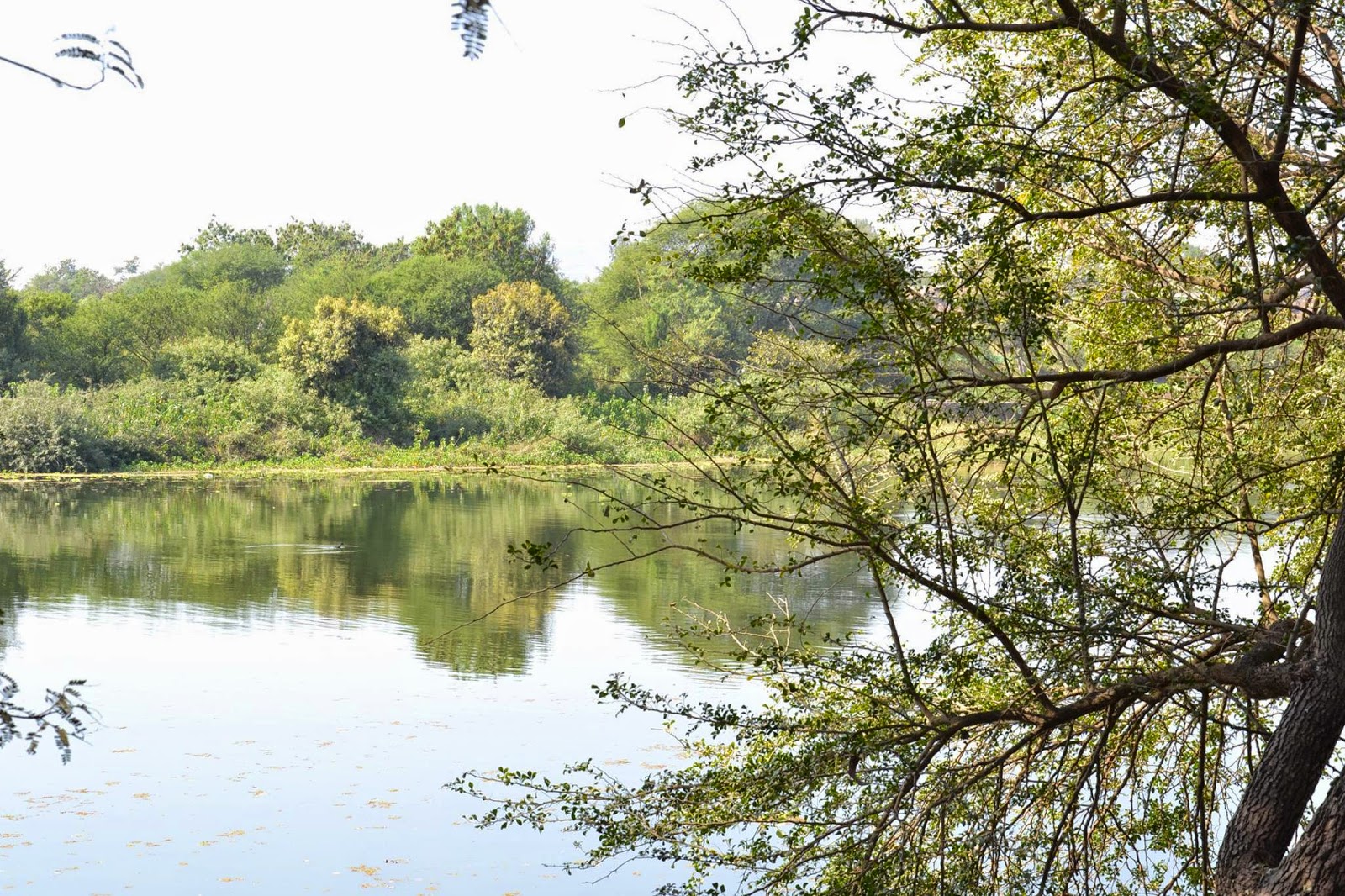 The Magic Tours Blog: The Holy River Indrayani