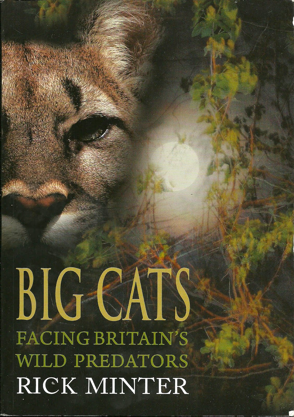 Matt Salusbury: Big Cats - Facing Britain's Wild Predator - book review