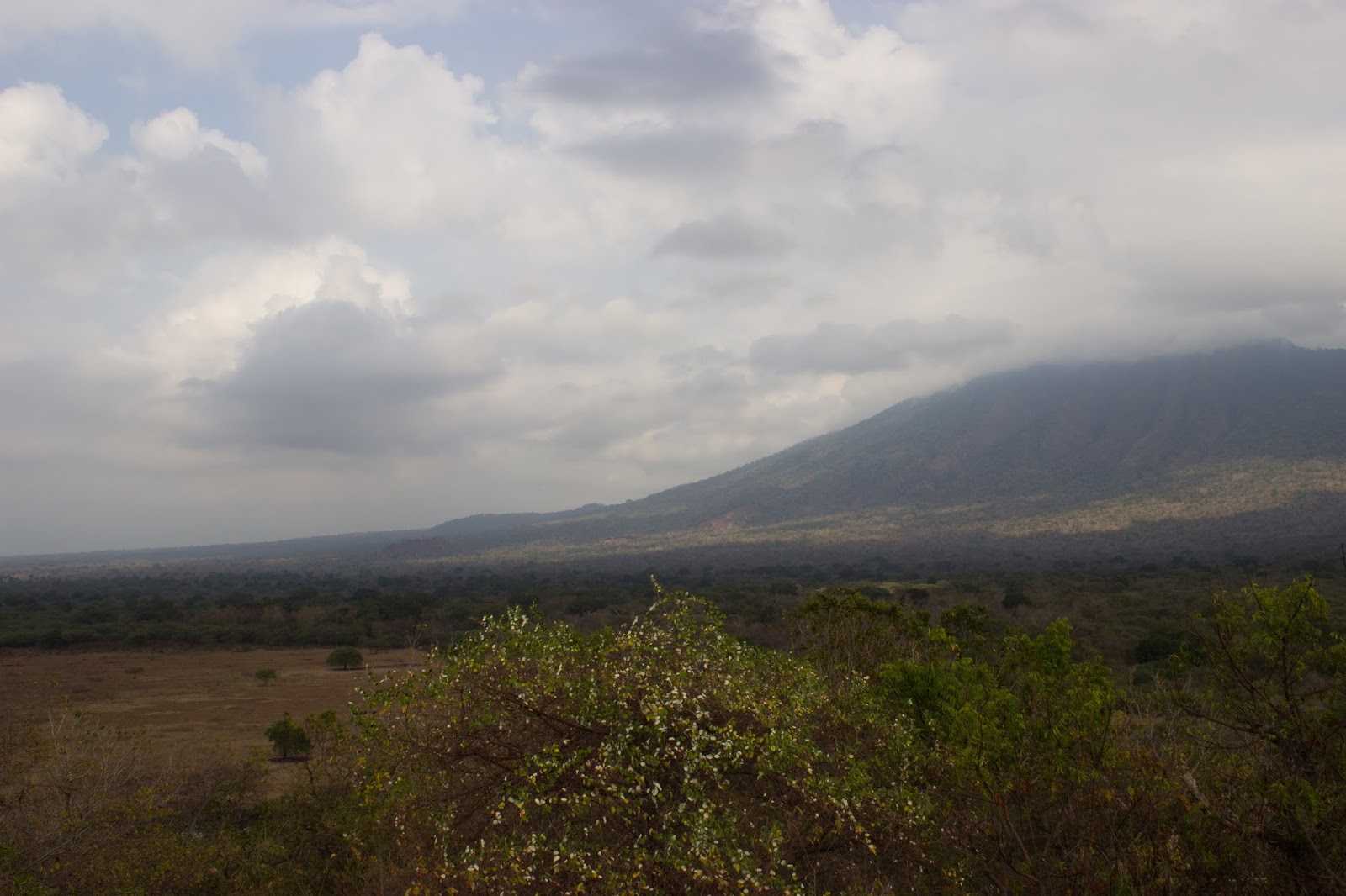 Kumpulan Foto & Catatan: Taman Nasional Baluran : Africa Van Java