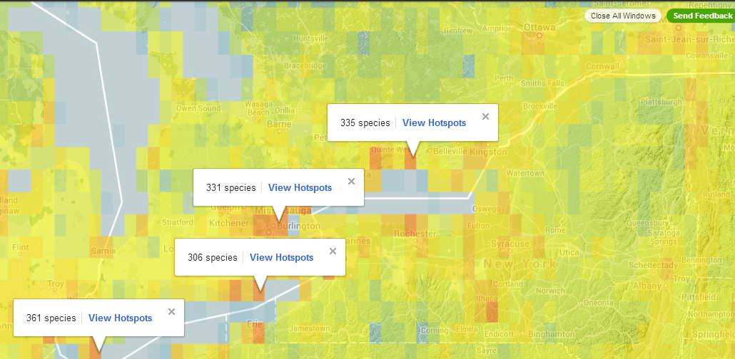 The Nomadic Naturalist: eBird's hotspot explorer launched!