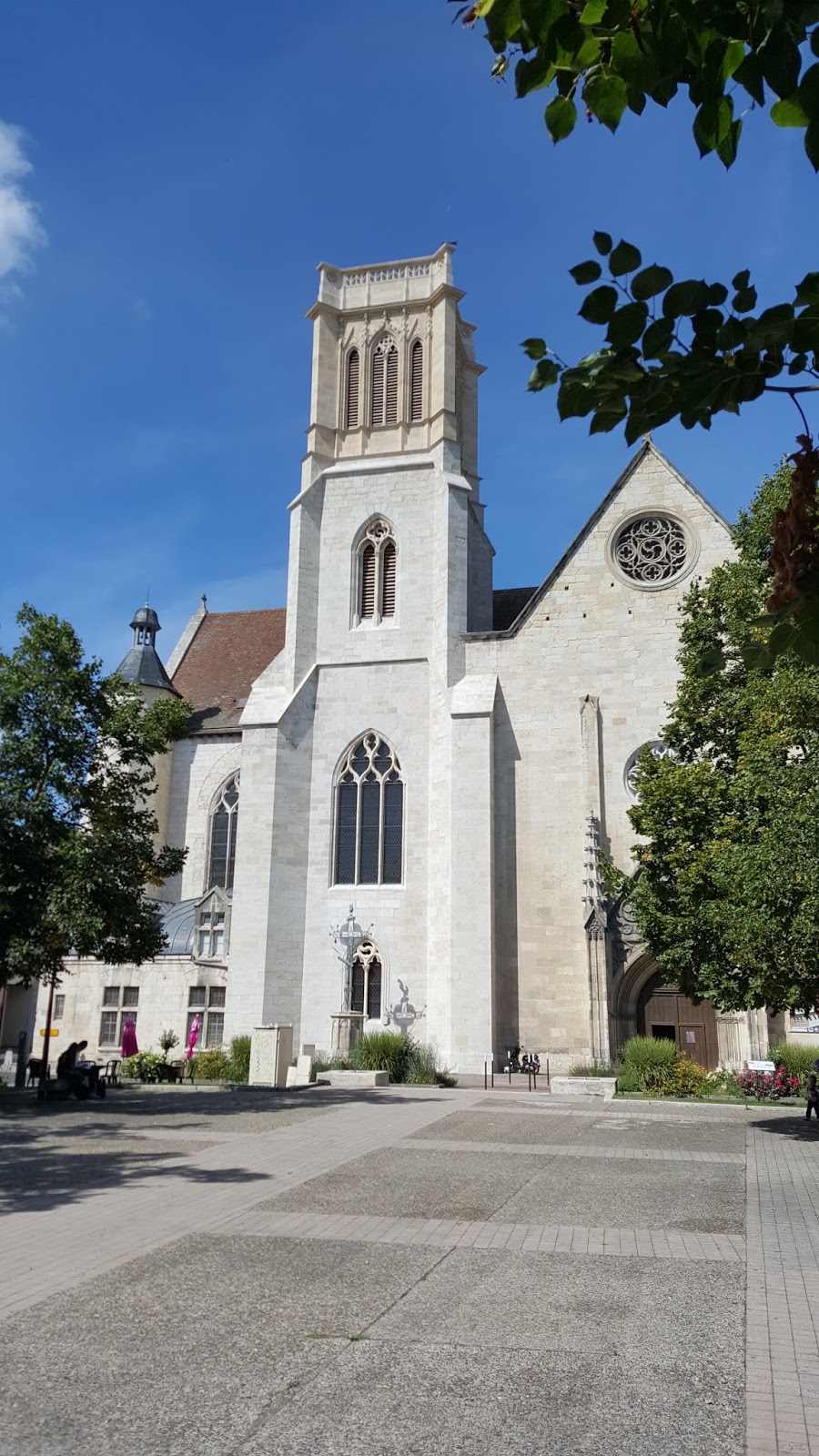 My Chemin de Compostelle--the Via Podiensis: Day 1: Paris to Moissac