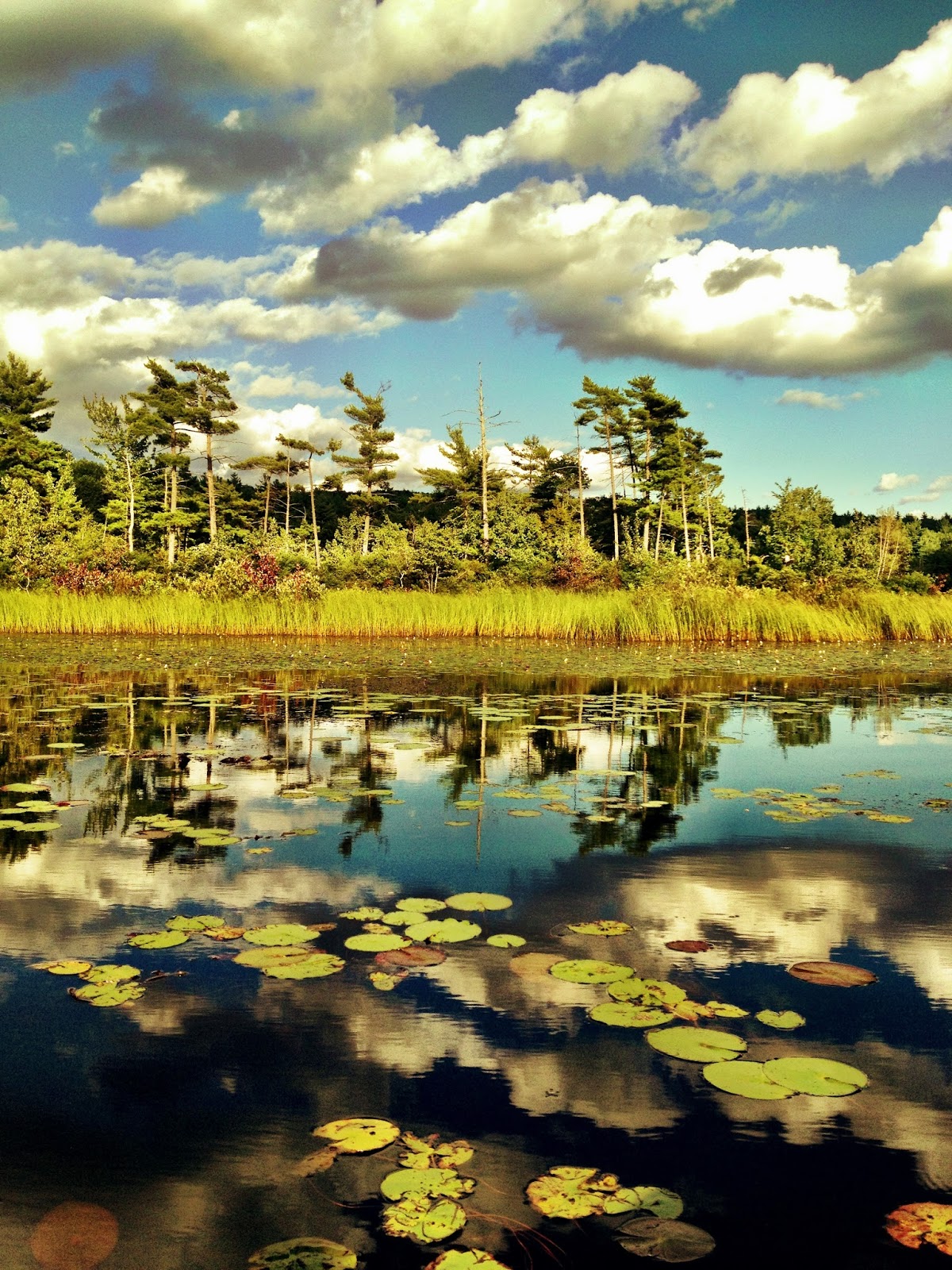 Jenny's iPhoneography: Rohunta Lake (Orange, Massachusetts)