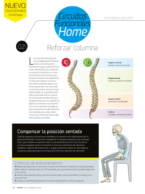 Rutinas de Ejercicio: Columna-Como Reforzar la Columna
