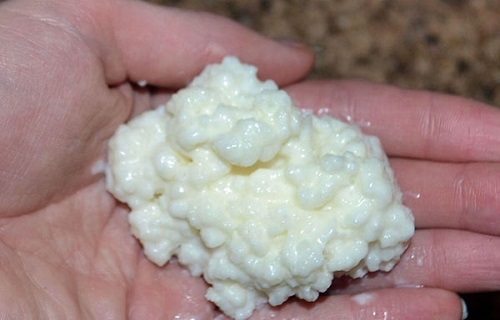 Pezeshke Bartar پزشک برتر: What does kefir have for skin?