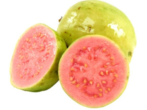 DIÁRIO COM A NATUREZA: 14 DE JUNHO - GOIABEIRA - GOIABA - FRUTA - FLOR ...