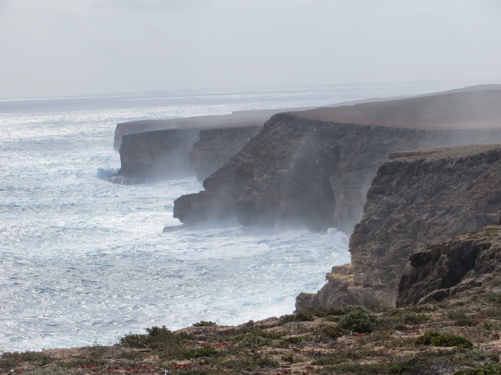 Woods Family Holiday: Shark Bay