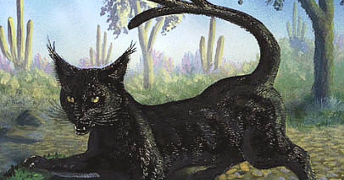 Mythology Of The Cat