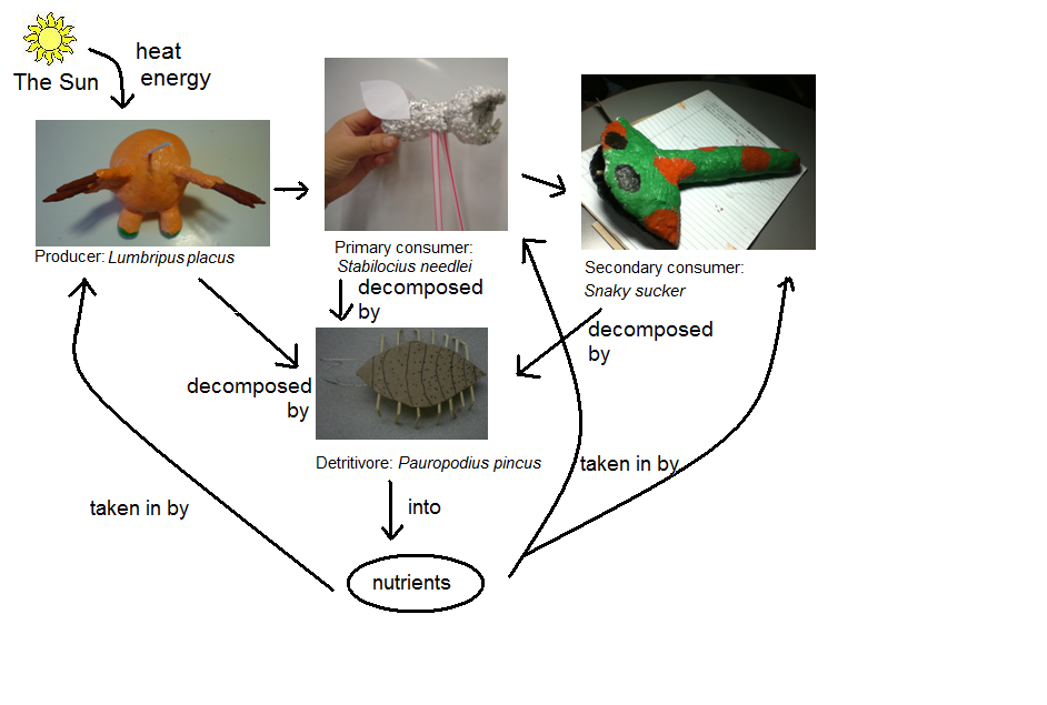 Biology Scrapbook: Inter-relationships: A brief introduction