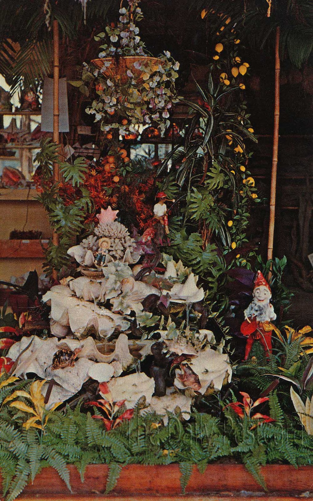 The Daily Postcard: Weird Postcards