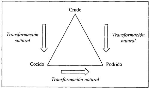 Sentidos Culinarios: Estilos de cocina y sentido Culinario