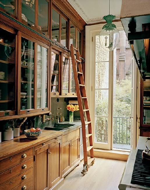 Through My Own Brown Eyes...: Design Friday: Library Ladder Inspiration