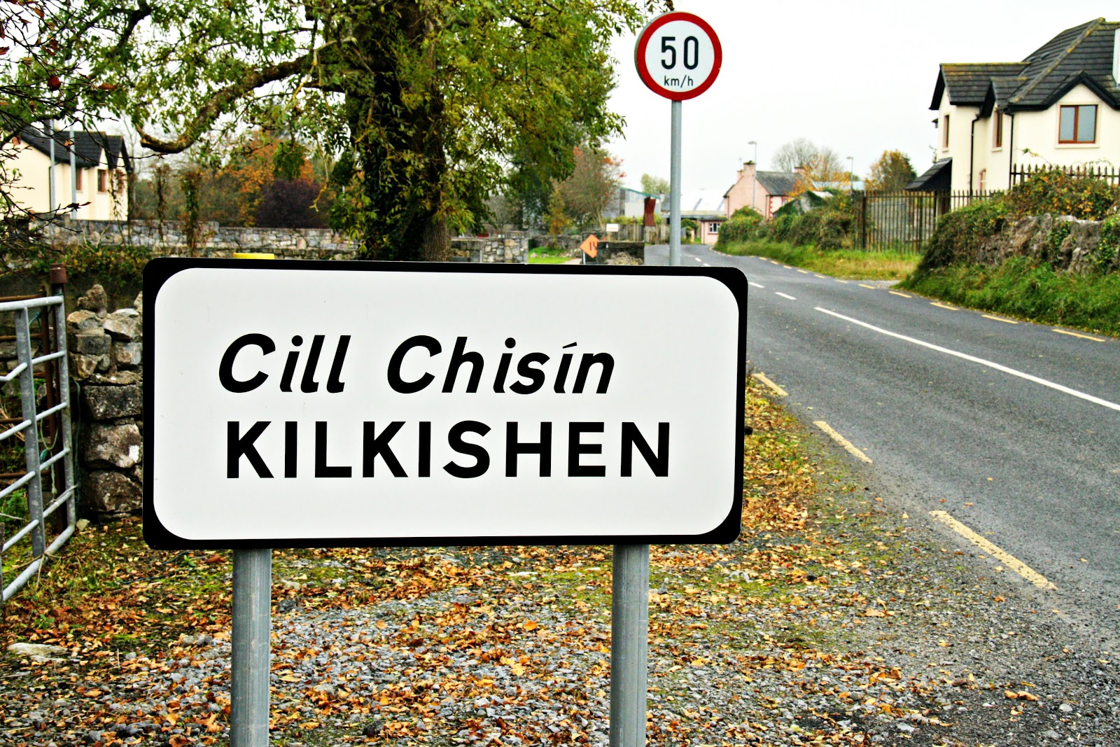 Notes from Rome: Irish Adventures, An Unexpected Visit in Kilkishen