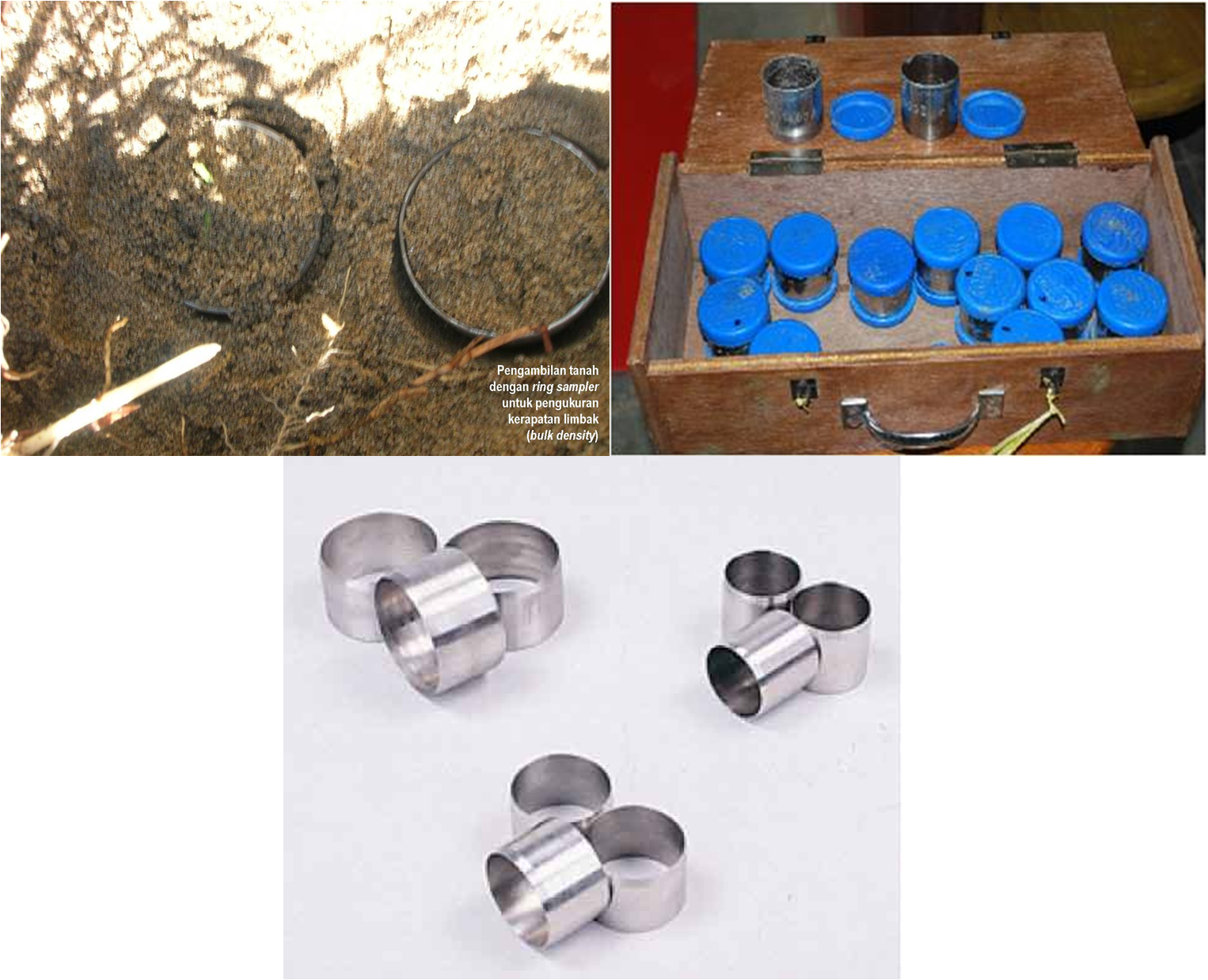 Amunisi-amunisi wajib dalam melakukan Survey Biofisik