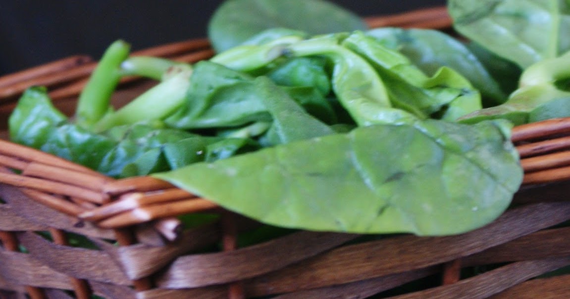 Basale Soppu MorKolumbu | Malabar Spinach Buttermilk Curry - Malas-Kitchen