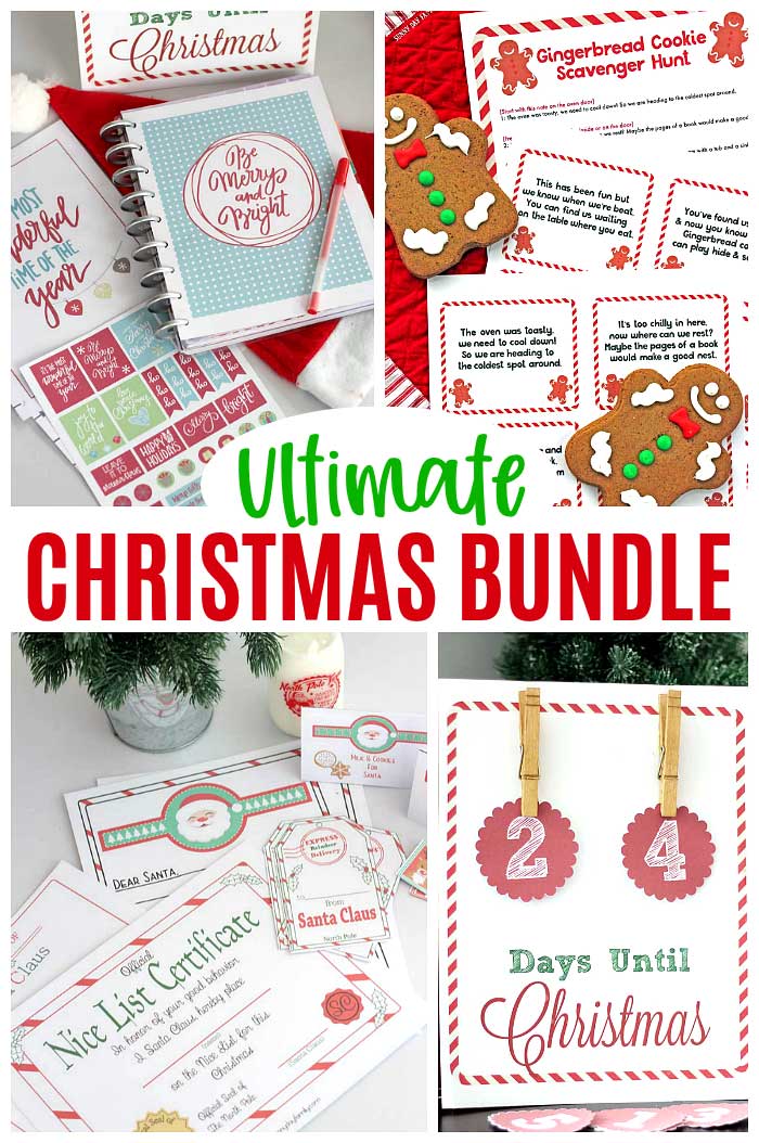 Ultimate Christmas Bundle | Sunny Day Family