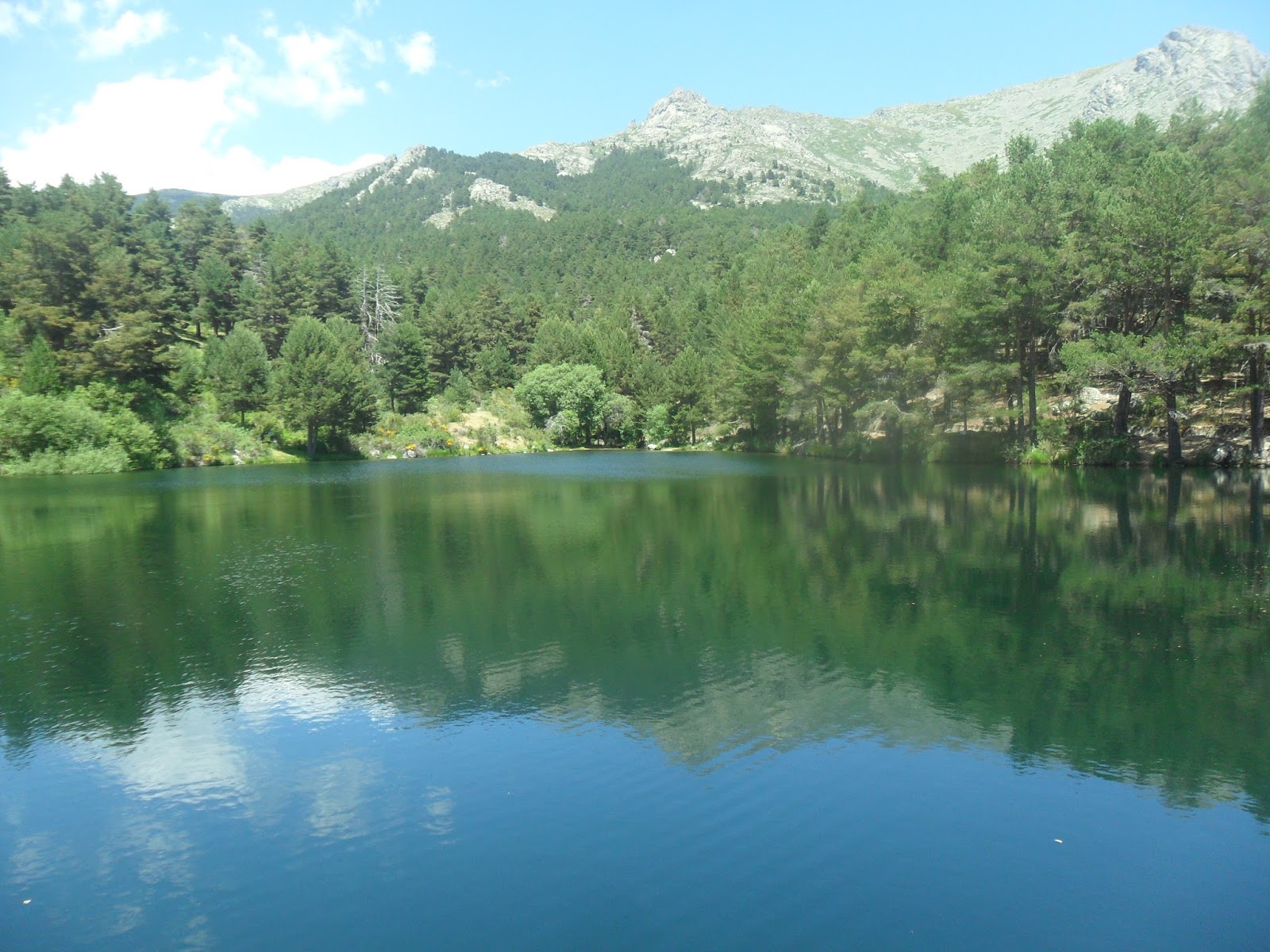 Caminatas por la Sierra de Guadarrama: Puerto de Navacerrada - Bola del ...