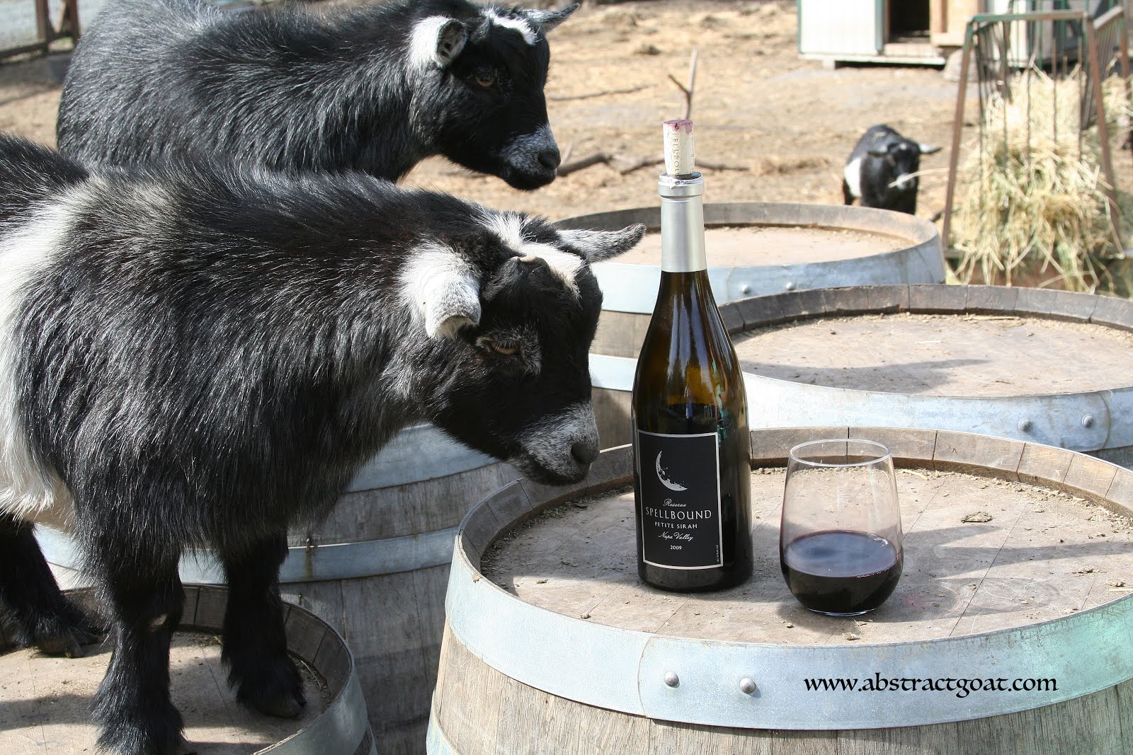 Abstracts from the Goat Farm: What Wine Goes with Goats?