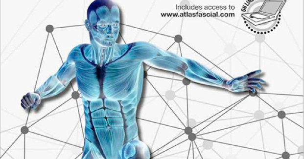 Functional Atlas of the Human Fascial System 1st Edition - Medical Book ...