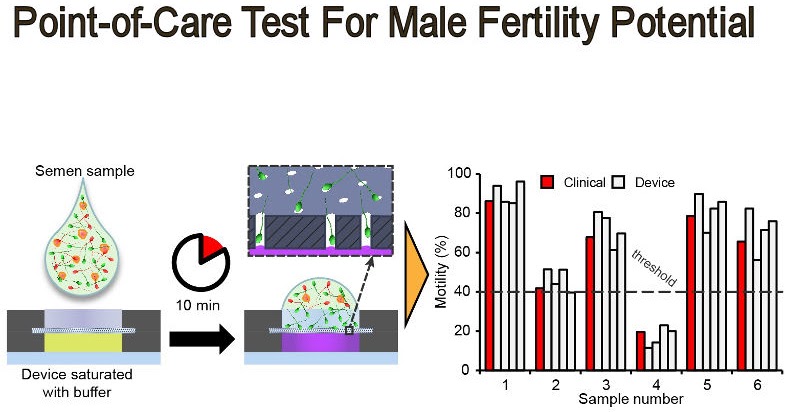 Medical Laboratory and Biomedical Science: New Point-of-Care Test For ...