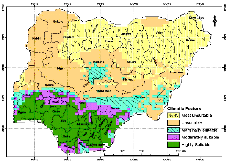 Cocoa Value Chain: Cocoa Transformation Agenda (CocTA)